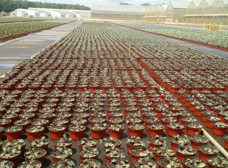 Gasko's Family Farms - Monroe Township, NJ 08831