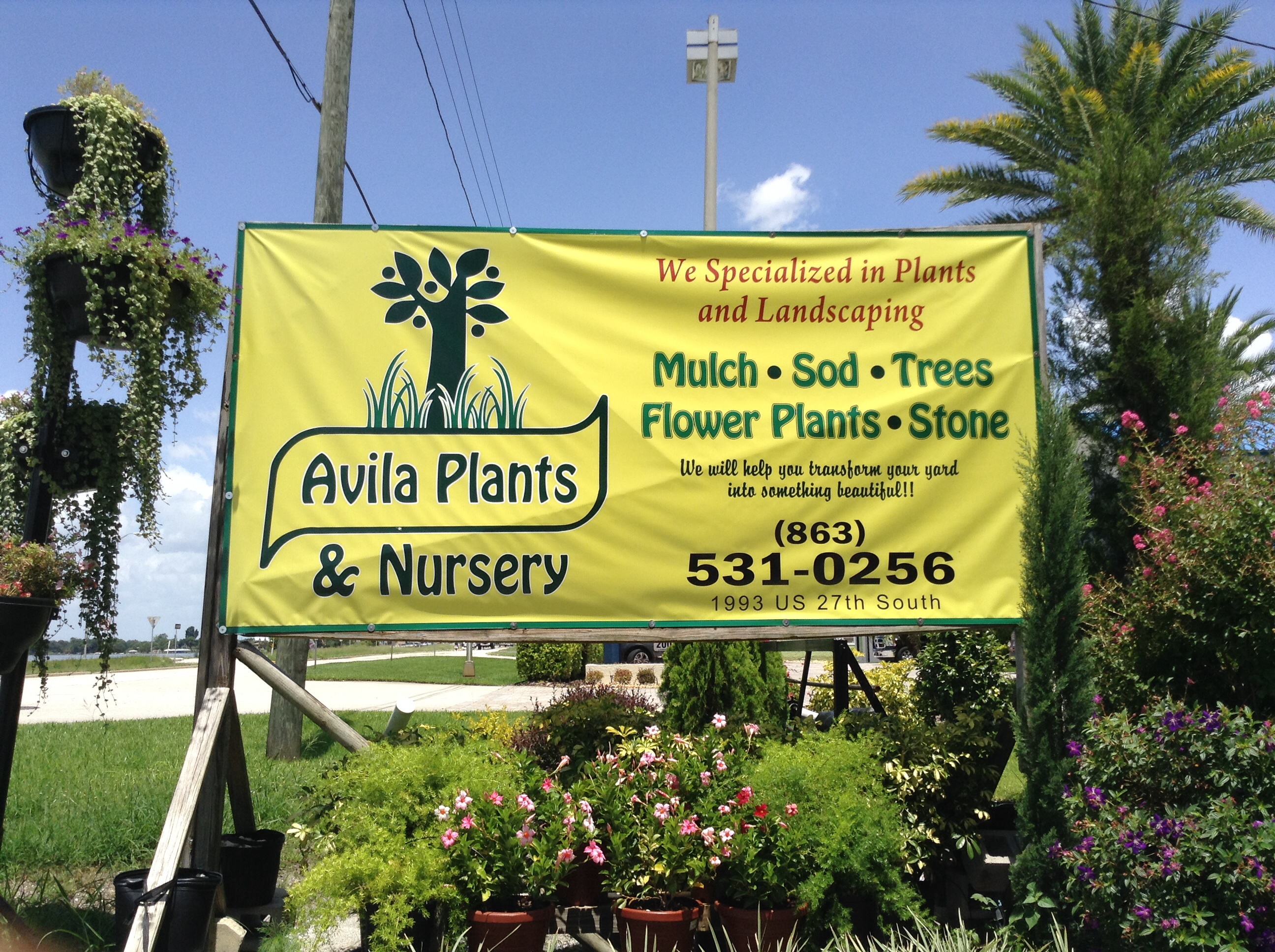 Avila Plants & Nursery - Sebring, FL 33870
