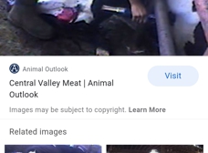 Central Valley Meat Co Inc - Hanford, CA 93230