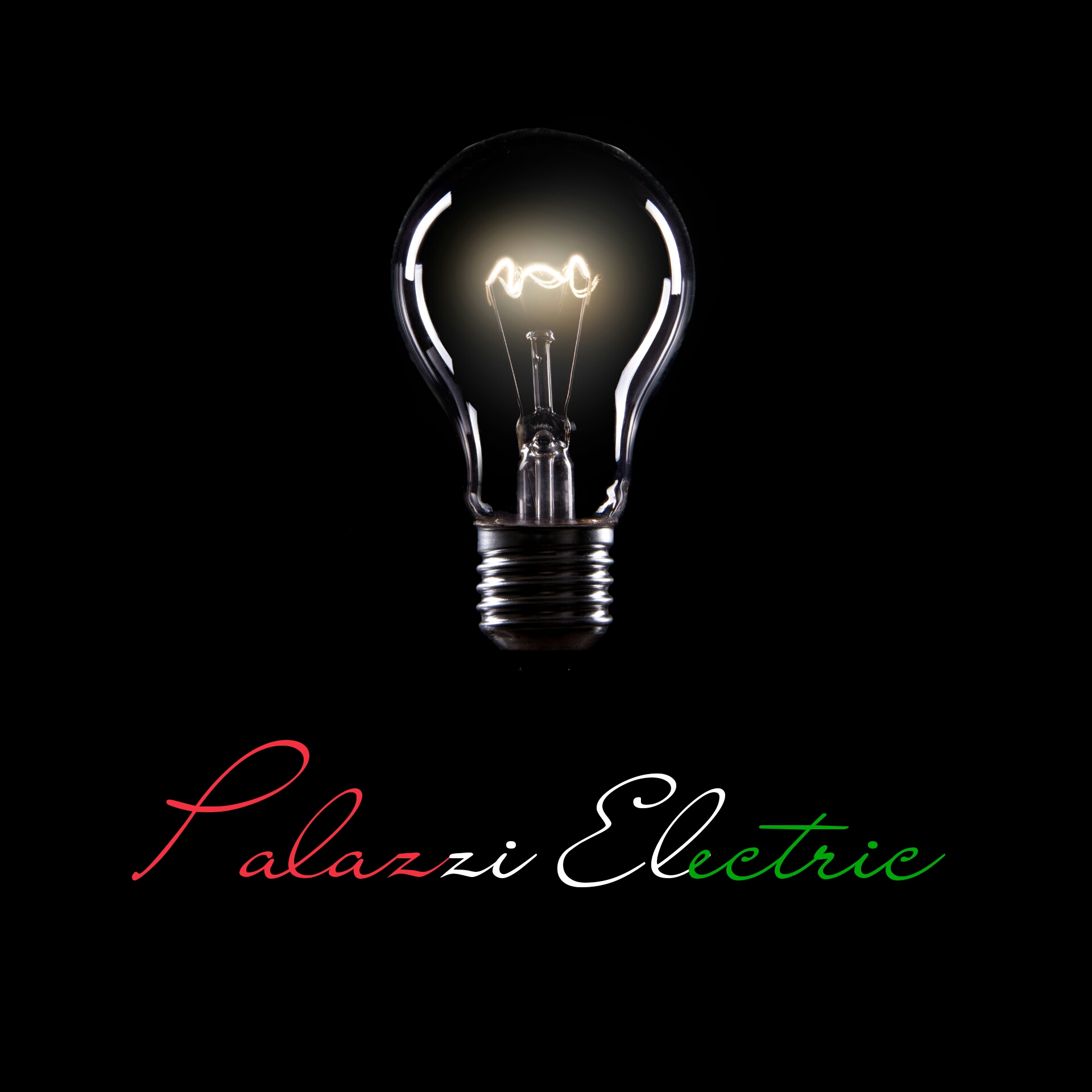 Palazzi Electric - Elyria, OH 44035