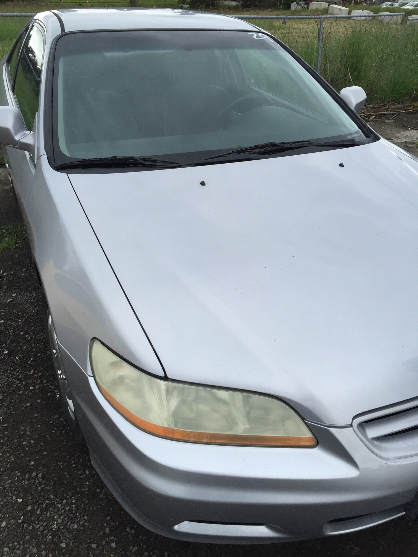 Auburn Discount Auto Sales Auburn WA 98002
