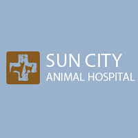 Sun City Animal Hospital - Sun City, AZ 85351