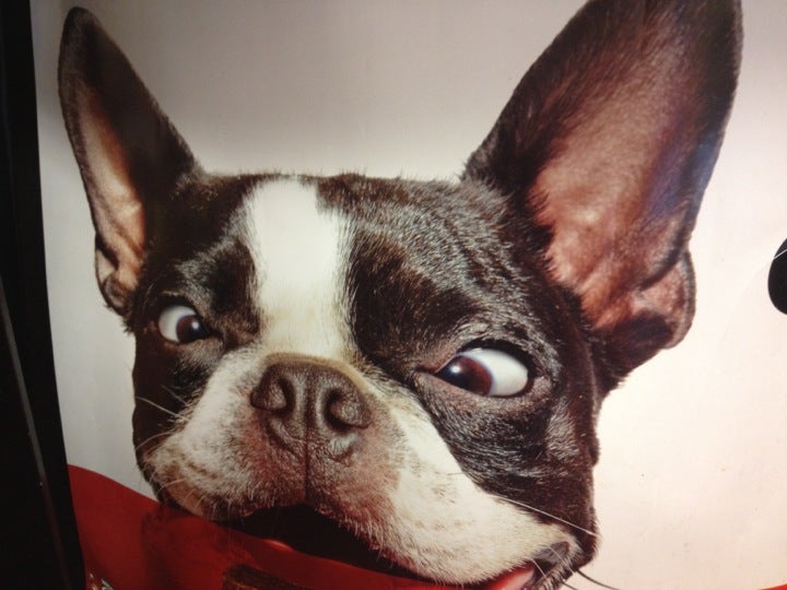 Pets Inc - West Columbia, SC 29170